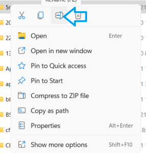 Missing rename function on Windows 11
